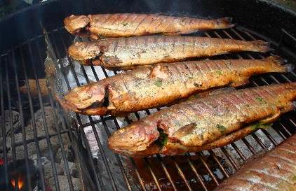 Truites mouchetées et grises enrobées de prosciutto au BBQ | Dans notre ...