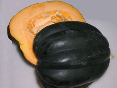 courge-poivree – DANS NOTRE MAISON